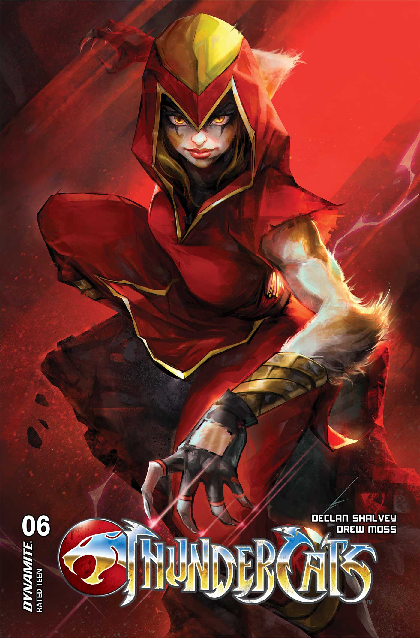 thundercats06-06 – COMICON