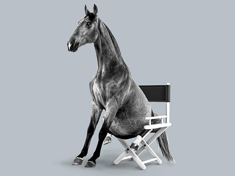 An Interview With ‘Horses Of Hollywood’ Author Roberta Smoodin – COMICON