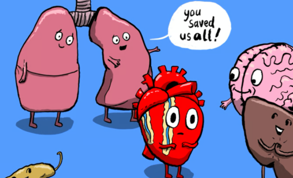 Nick Seluk Launches New ‘Heart And Brain’ Collection On Kickstarter ...